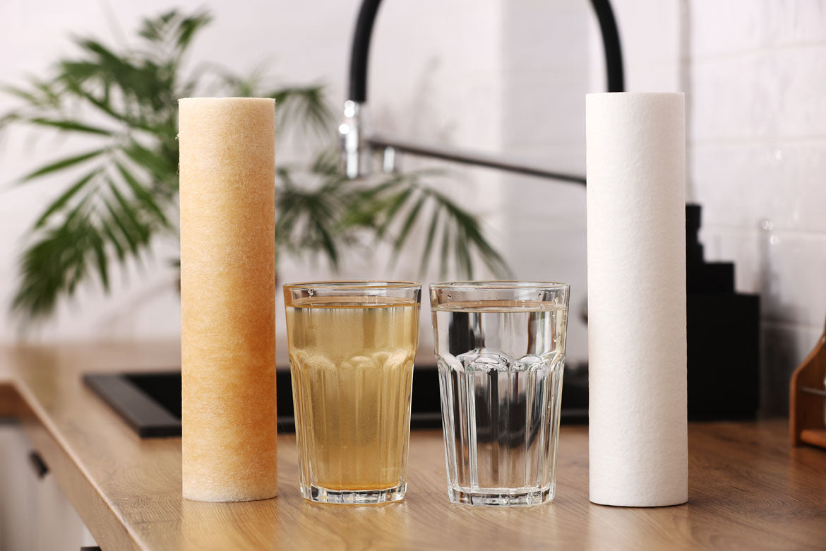 Top 5 Reasons to Invest in a Water Filter – Earths Water